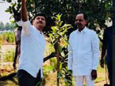 One crore saplings plantation on Telengana CM's birthday | Hyderabad News - Times of India