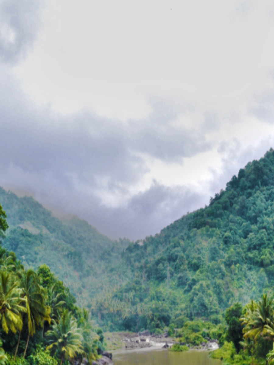 Facts about Wayanad that make it an interesting stop for travellers ...