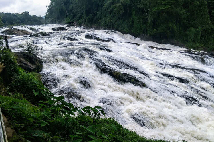 Kerala's Kunchikal Falls, the largest waterfall in India | Times of ...