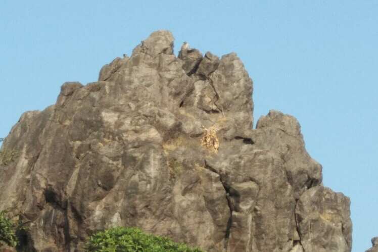 Discovering Mumbai’s best kept secrets | Times of India Travel