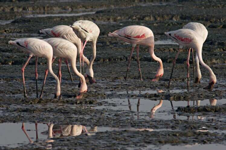 Discovering Mumbai’s best kept secrets | Times of India Travel