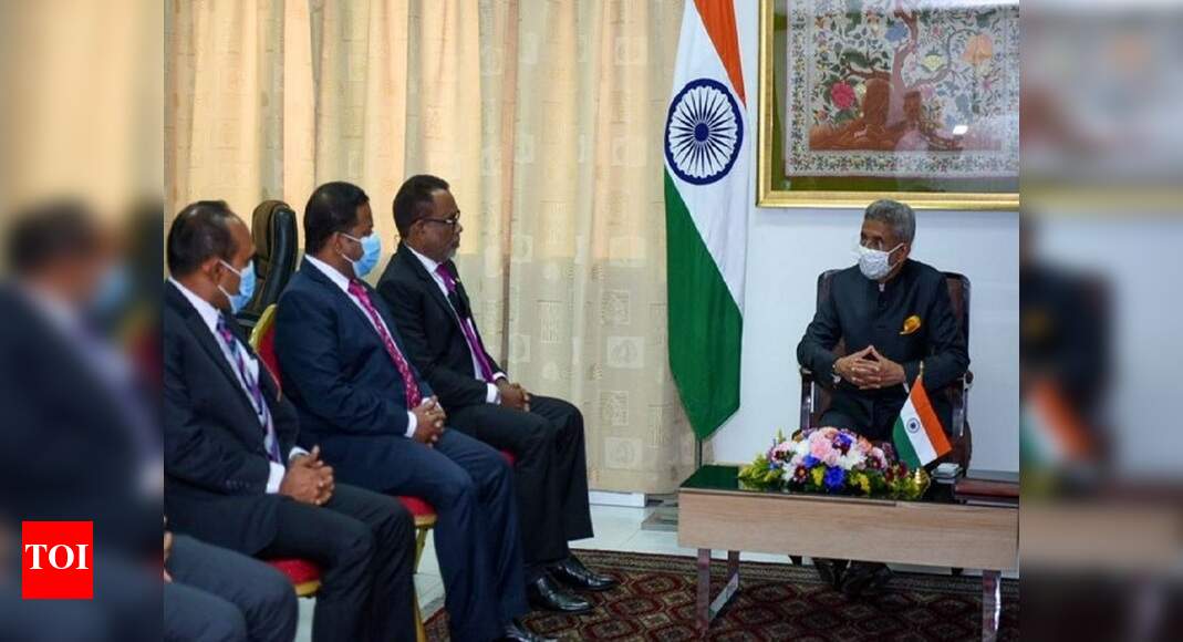 India, Maldives agree to further strengthen coordination in combatting ...