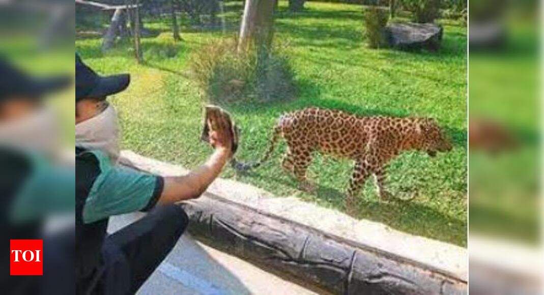 Mumbai zoo welcomes 11,000 visitors over weekend | Mumbai News - Times ...