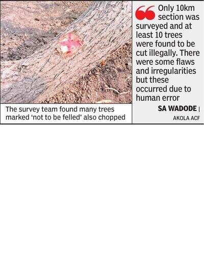 Survey reveals irregularities in tree felling for Akola-Washim road ...