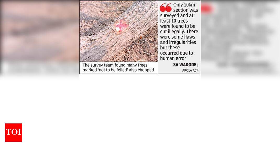 Survey reveals irregularities in tree felling for Akola-Washim road ...