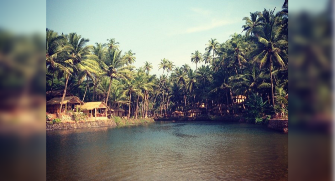 Cola Beach—Goa’s hidden gem | TimesTravel