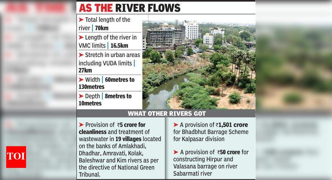 Vishwamitri rejuvenation plan remains a hollow promise | Vadodara News ...