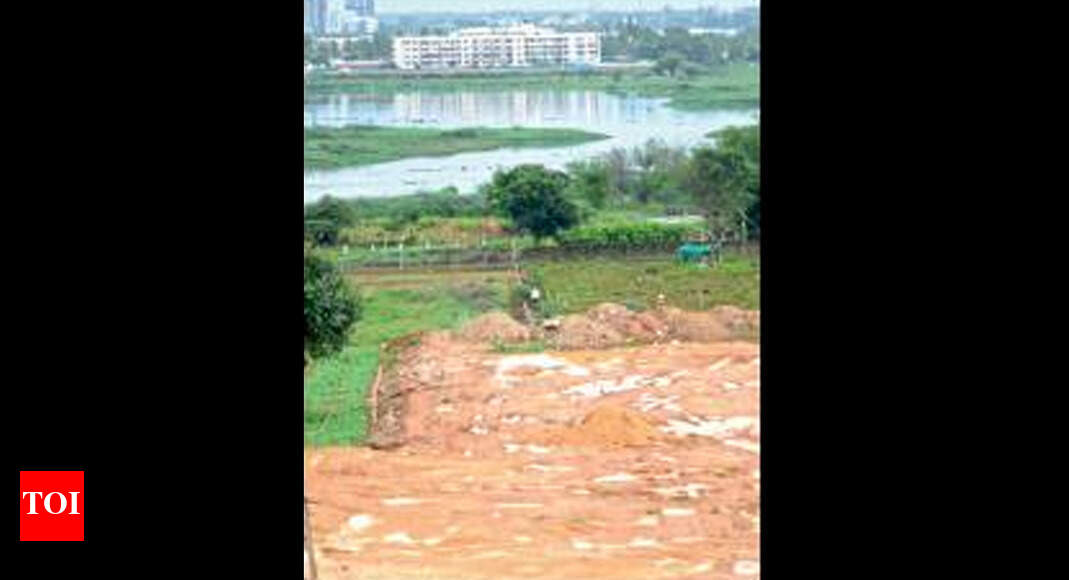 Karnataka govt to soon raze lake encroachments | Bengaluru News - Times ...