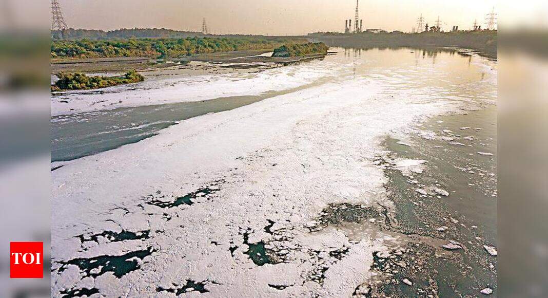 River cleanup: Review of 13 projects shows progress | Delhi News ...