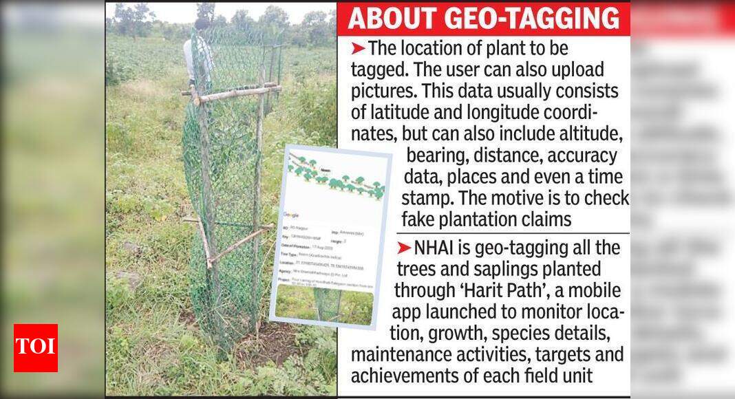 NHAI geo-tags 6.17 lakh plantations in region | Nagpur News - Times of ...