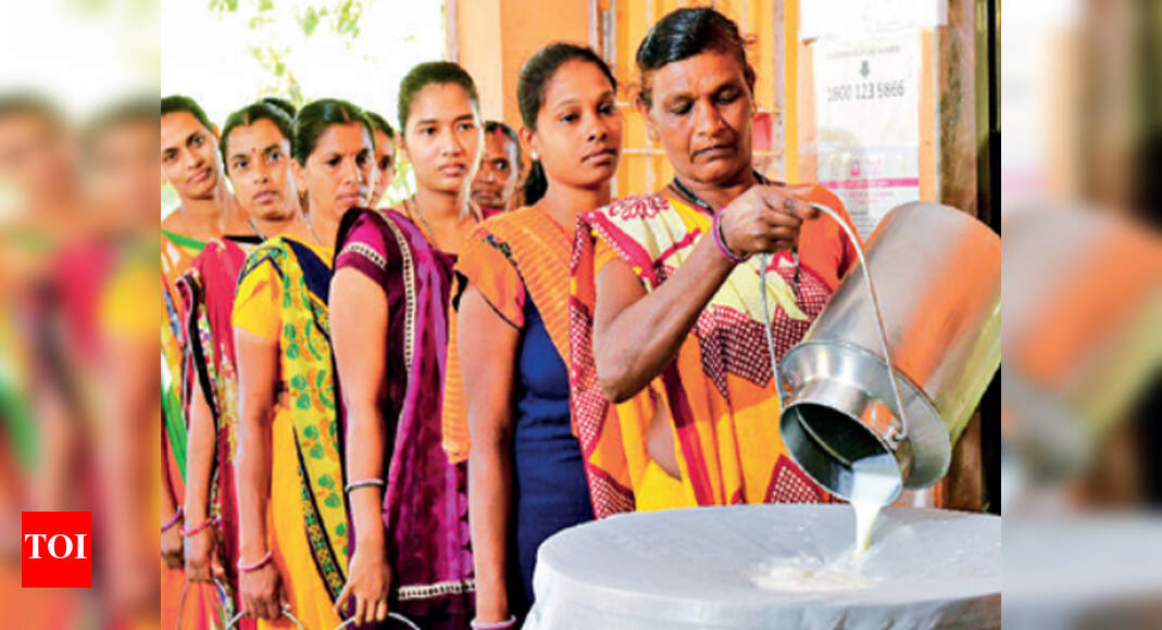 Gujarat women power dairy sector growth | Ahmedabad News - Times of India