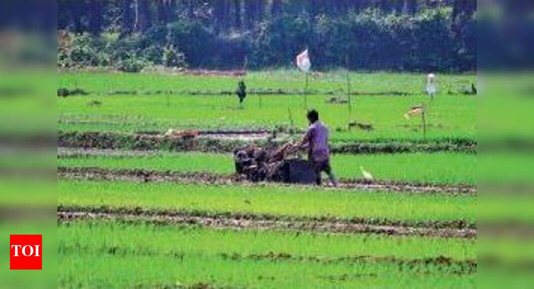 Depleting groundwater: Farmers satisfied with yield from direct seeding ...