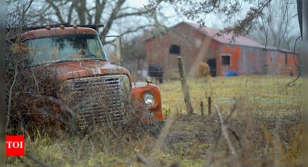 How small farmers lost out in the US - Times of India