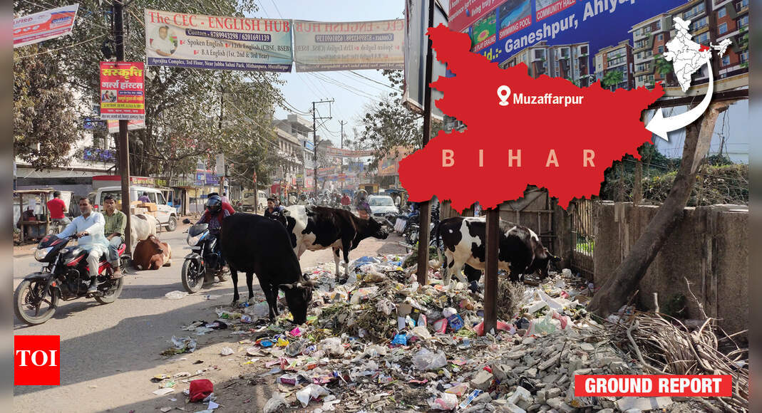 Ease Of Living Index 2020: Life in India's most unliveable city ...