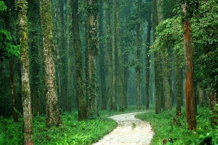 You must visit these wildlife sanctuaries in Darjeeling | Times of ...