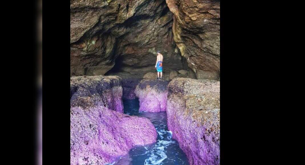 Inside the pink cotton candy caves of Australia, - TimesTravel