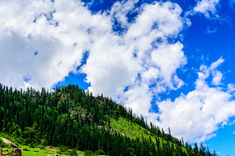 Himachal’s Kalga–a gem hidden in Parvati Valley | Times of India Travel