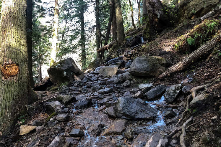 Himachal’s Kalga–a gem hidden in Parvati Valley | Times of India Travel