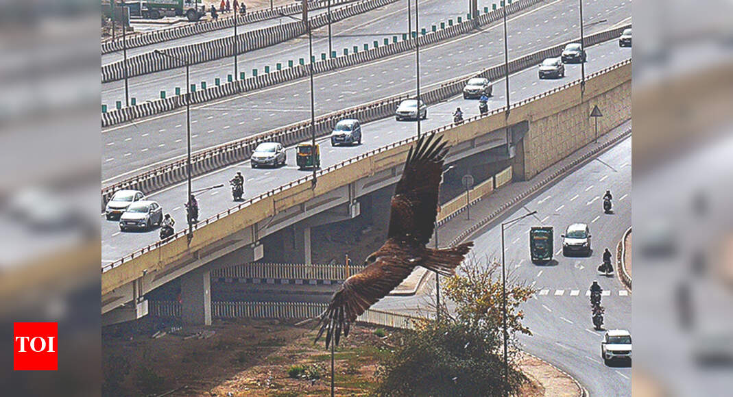 NH-24 carriageway from Delhi to Ghaziabad reopens; commuters relieved ...