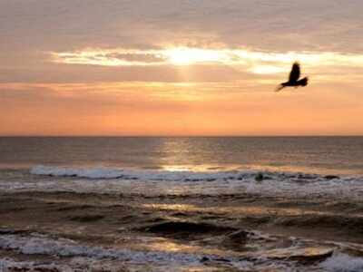 NIO sets sail for its largest Indian Ocean expedition | Goa News ...