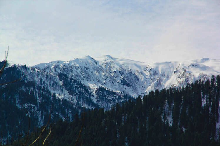 Kothi–The last but beautiful stop before reaching Solang Valley | Times ...