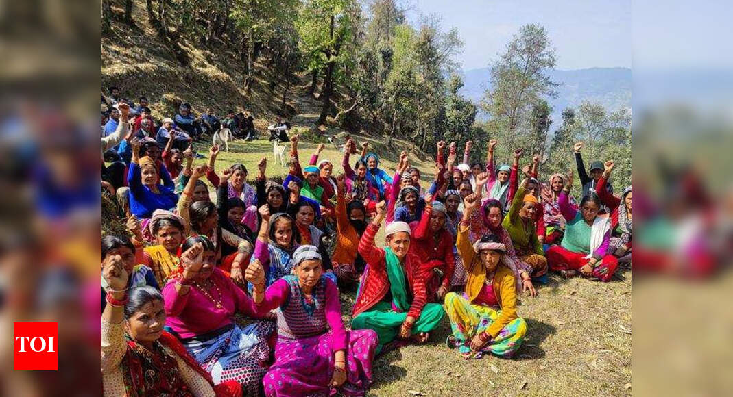 Chipko rerun: Women in Uttarakhand's Bageshwar hug trees to stop ...