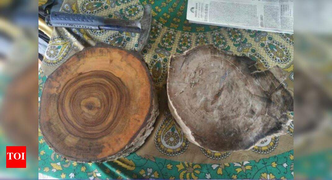 Scientists begin Jharkhand digging to go deep into Aus-India split ...