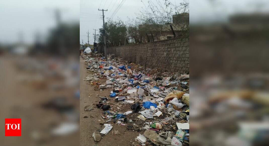 garbage Piled up On Road Cause for mosquito menace - Times of India