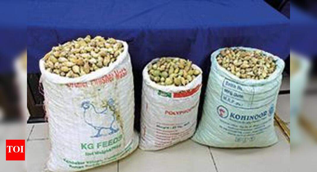 Opium poppy straw worth Rs 20 lakh seized in Telangana, 1 arrested ...