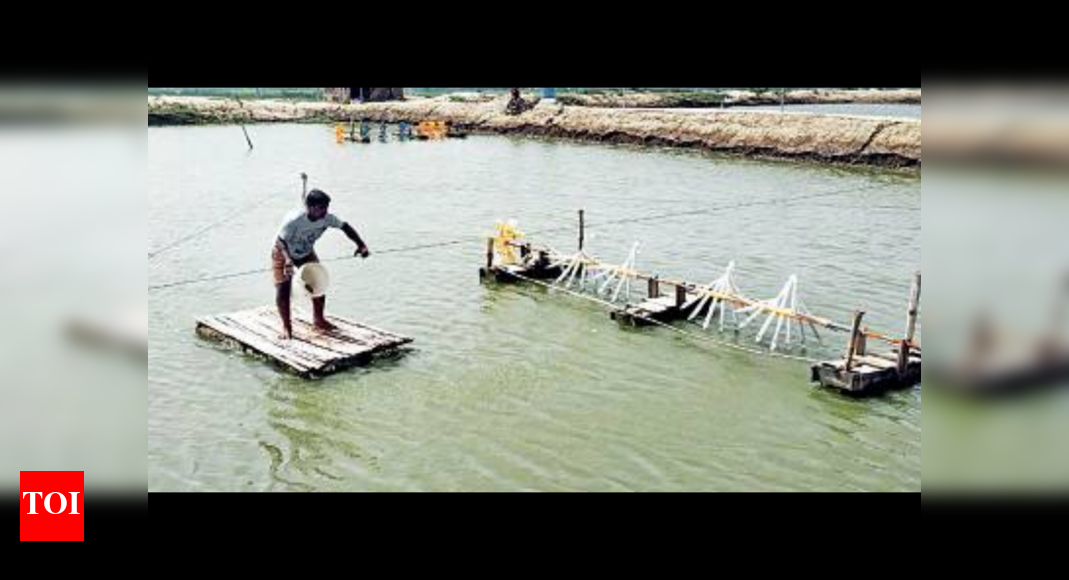 Ground zero of Nandigram farm protest now a shrimp export hub | Kolkata ...