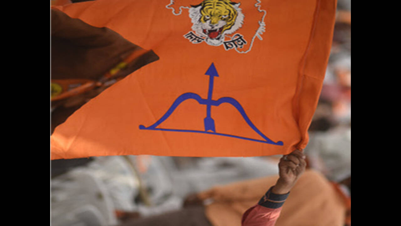 Shiv Sena Flag