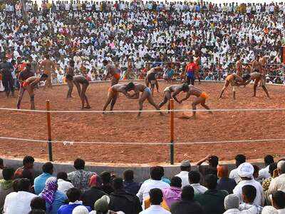 Indian Style Wrestling Association of India gets government recognition ...