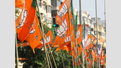 Confident of BJP winning all 7 bodies: Sadanand Shet Tanavade | Goa ...