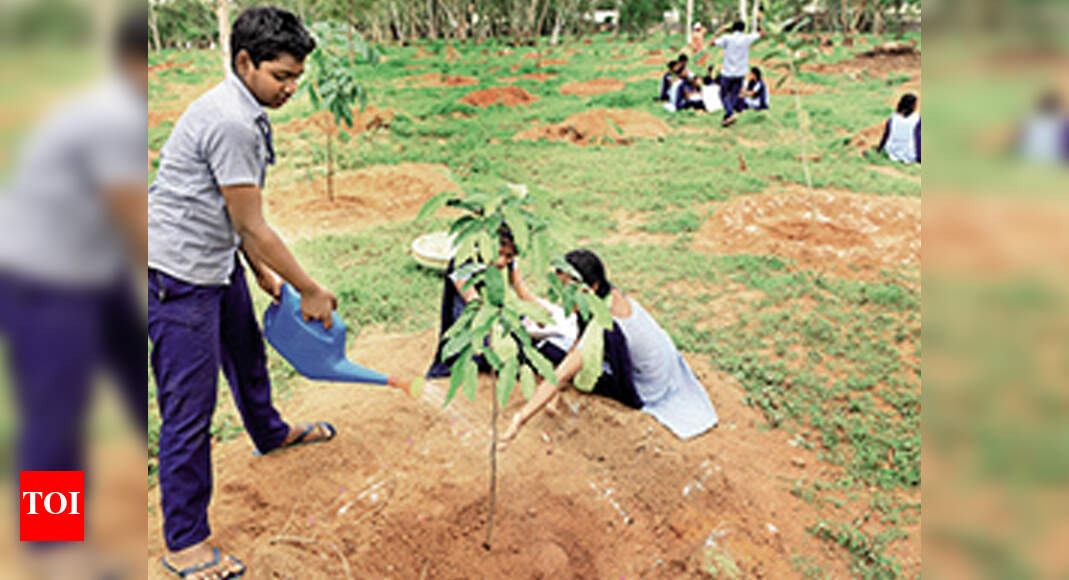 Haritha Haram ups Telangana’s forest cover by more than 3.6% ...