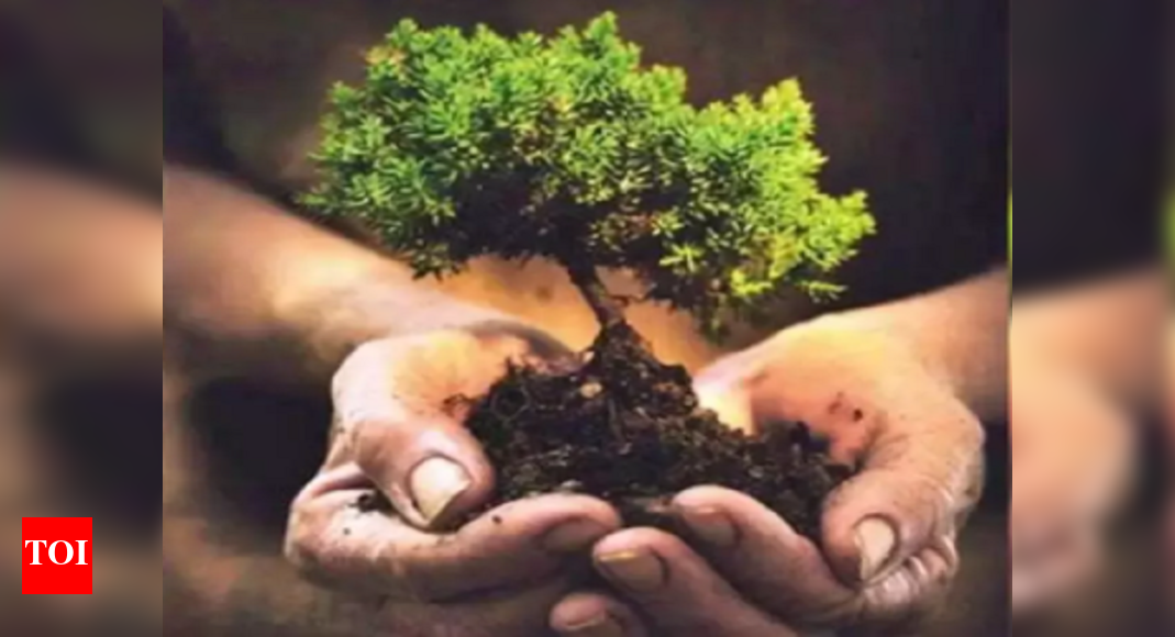 BMC tree authority approves policy to plant native species of trees in ...