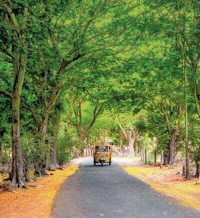 Aarey forest land for SGNP soon, but 5 acres for cop station | Mumbai ...