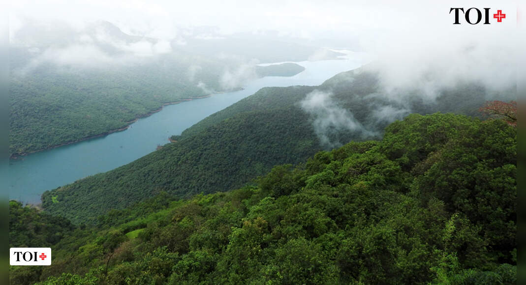 Tillari Conservation Reserve: Maharashtra forest blessed by the Queen ...