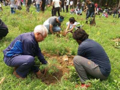 Uttarakhand employing van praharis through funds meant for compensatory ...