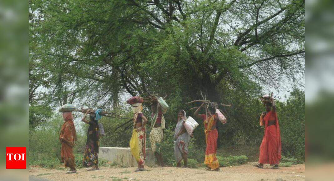 Human deaths, injuries dominant costs of human-wildlife conflict: Study ...