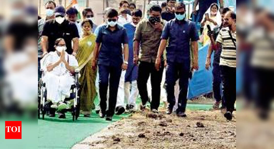 West Bengal assembly elections: Mamata Banerjee’s ‘venomous snake’ barb ...