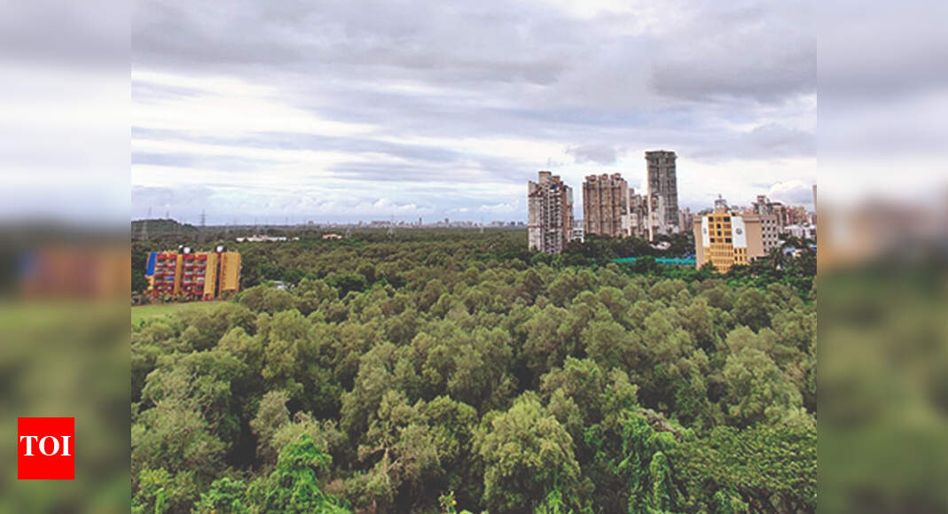 Mumbai: SC stays cutting of mangroves to build overbridge at Yari Road ...