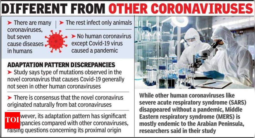 City researchers part of global team to demystify Covid-19 virus origin ...