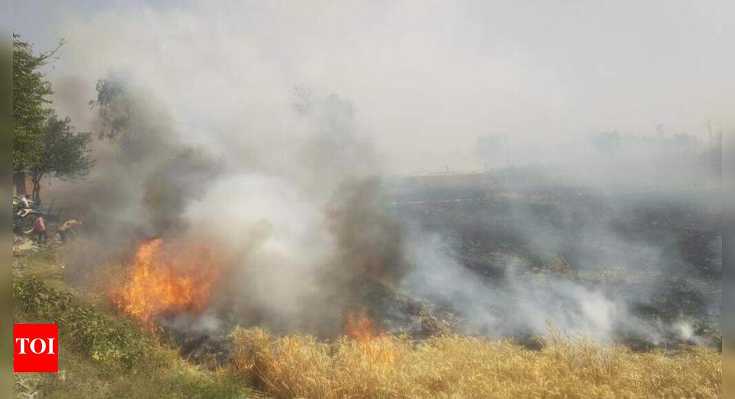 Wheat crop on hundreds of acres gutted in fire incidents in western UP ...