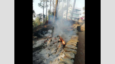 25 hectares of Almora forests gutted in 3 days | Dehradun News - Times ...