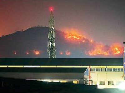 Pune: Careless day trippers start forest fires, 81 calls so far | Pune ...