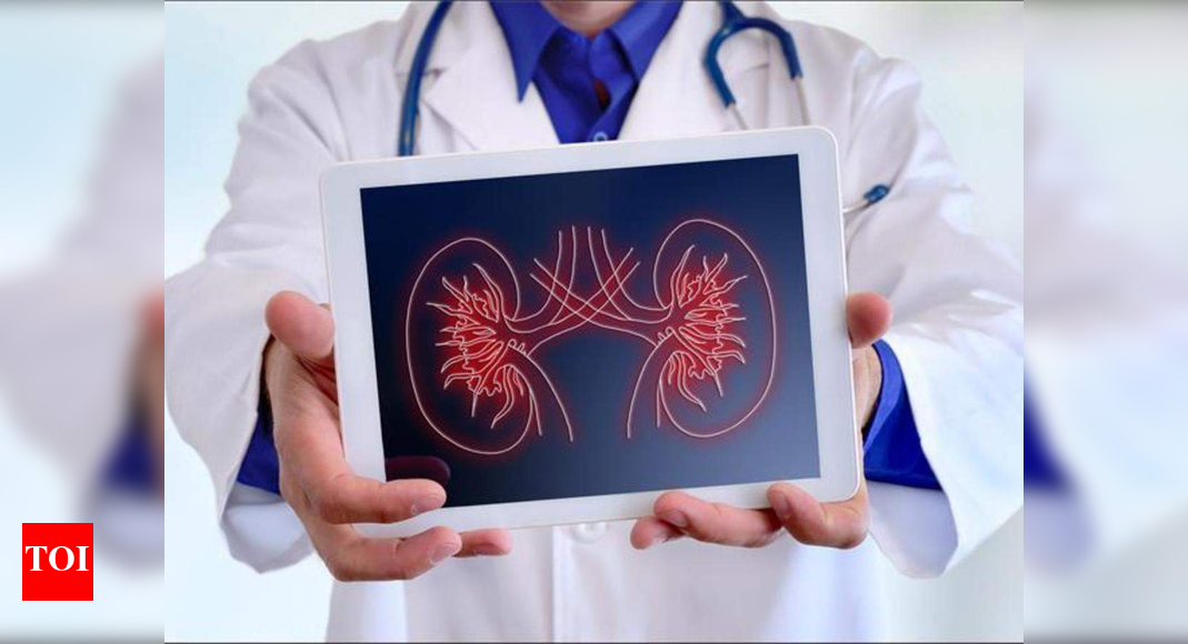 All you need to know about Chronic Kidney Disease (CKD) - Times of India