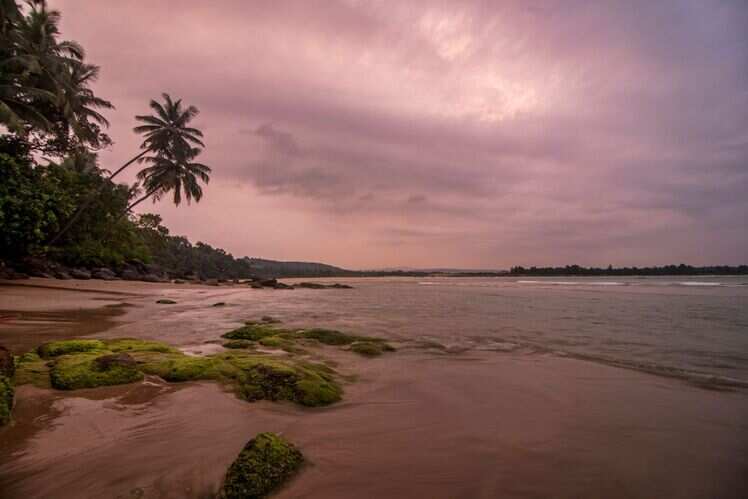 Beaches near Pune for a quick getaway | Times of India Travel