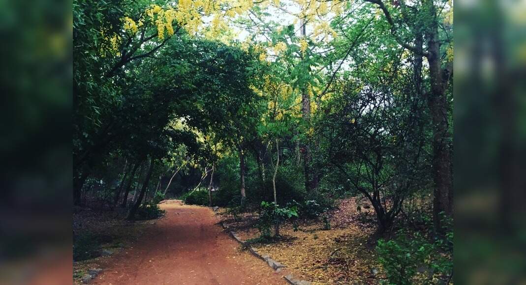 Delhi’s best running tracks | Times of India Travel