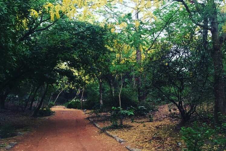 Delhi’s best running tracks | Times of India Travel