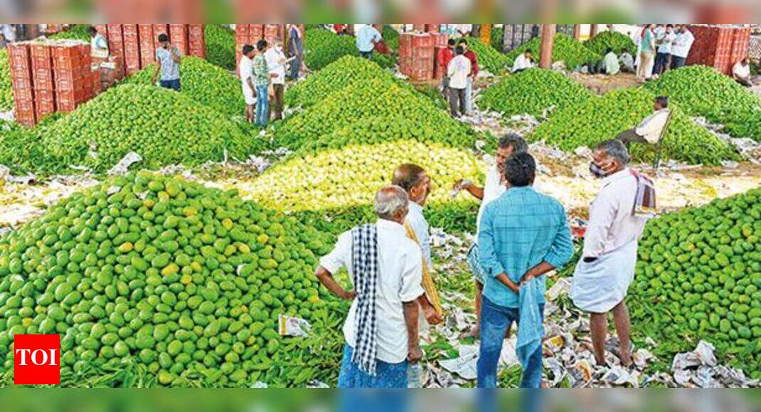King of fruits floods markets, supply to Hyderabad will increase soon ...